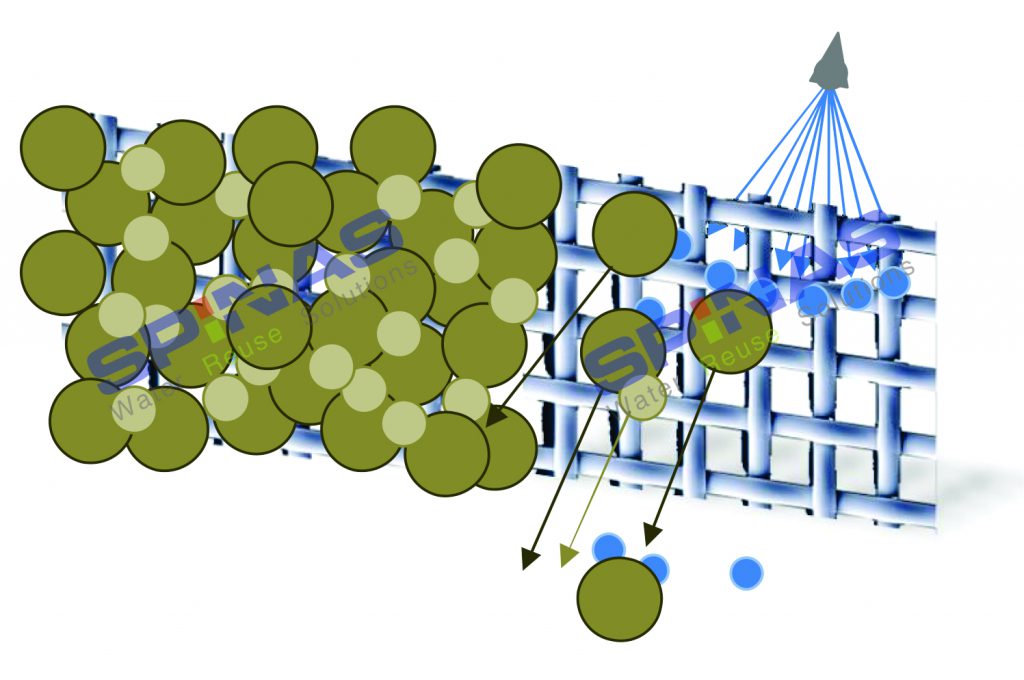Principle of filtration | Spinas
